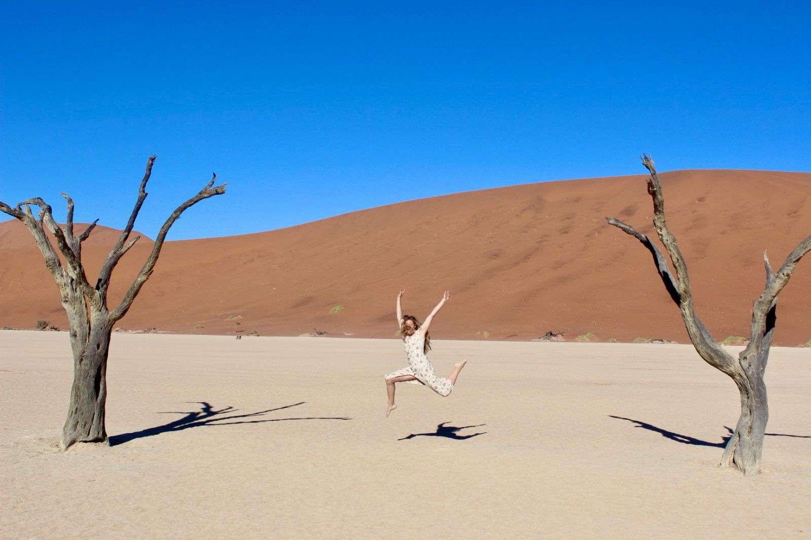Top Namibia guide from a sandy ghost town to iconic desert trees